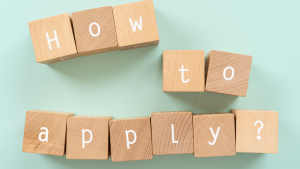 What is an e-Visa? How to Apply, Fees, and Benefits (2025)